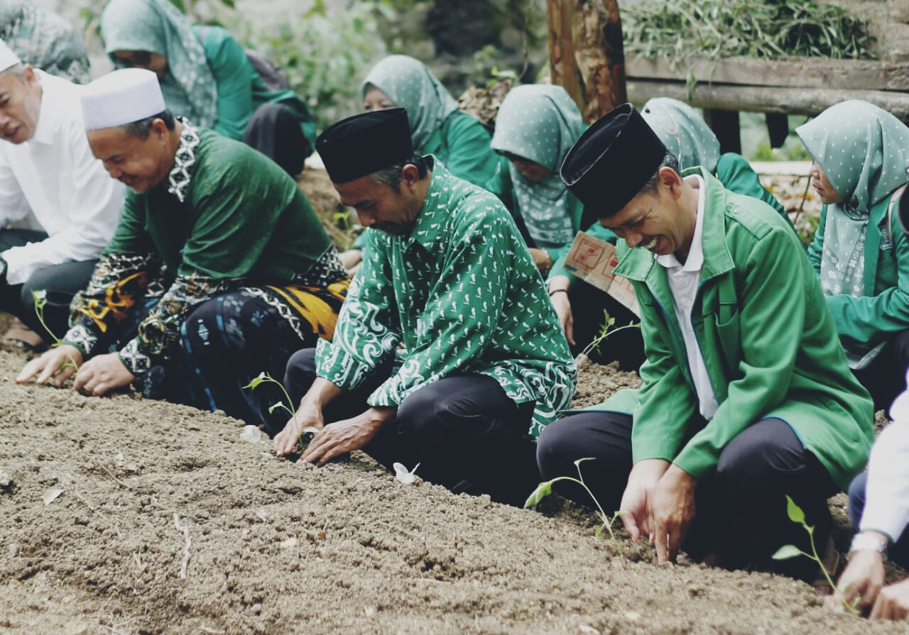 Ranting NU Pamulihan Inisiasi Penanaman Benih Cabai Demplot